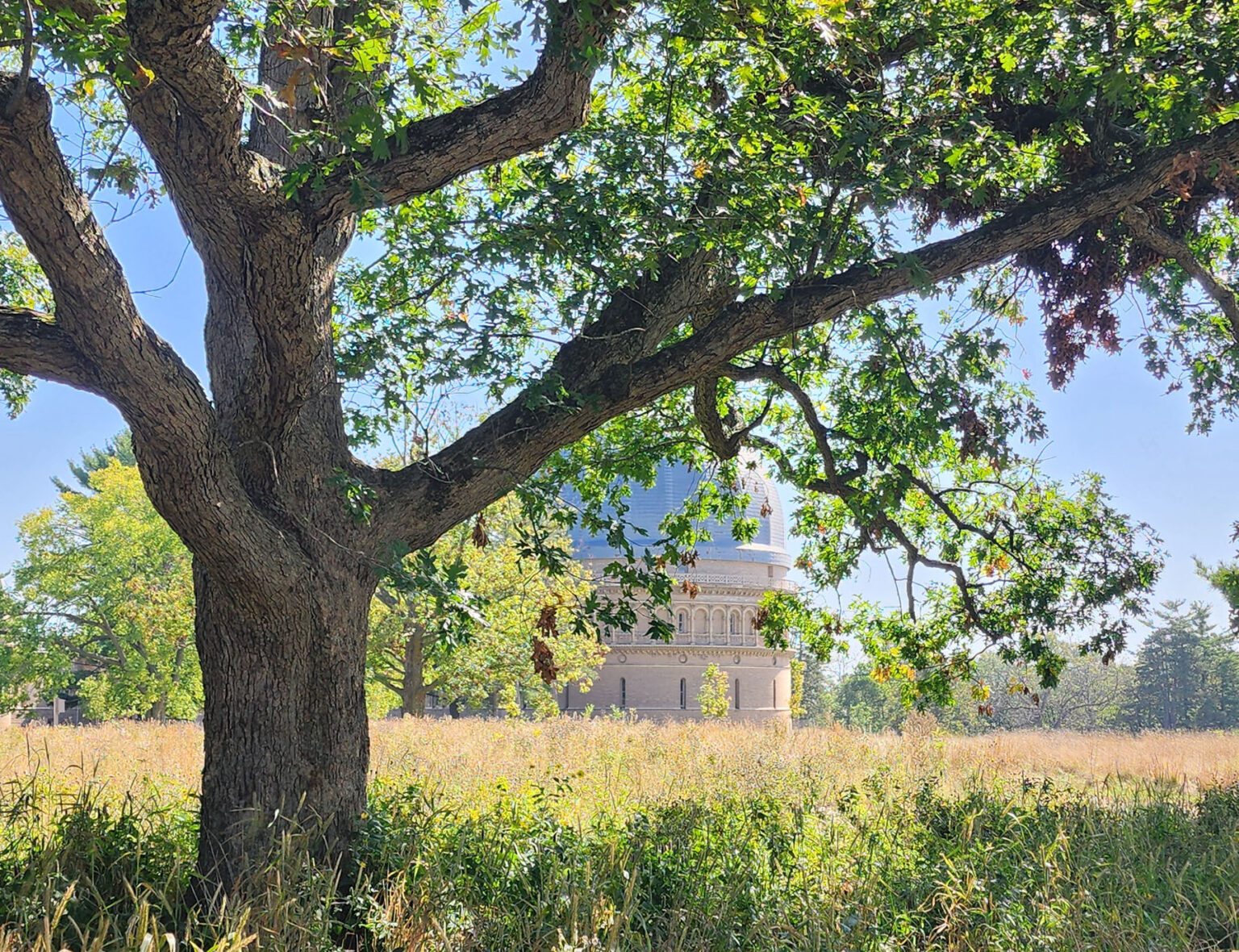 The Milky Way White Oak - Yerkes Observatory